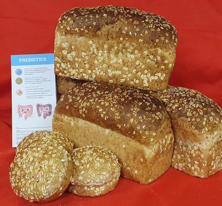 Old Fernvale Bakery - Fernvale QLD - Pyney's Pie Reviews