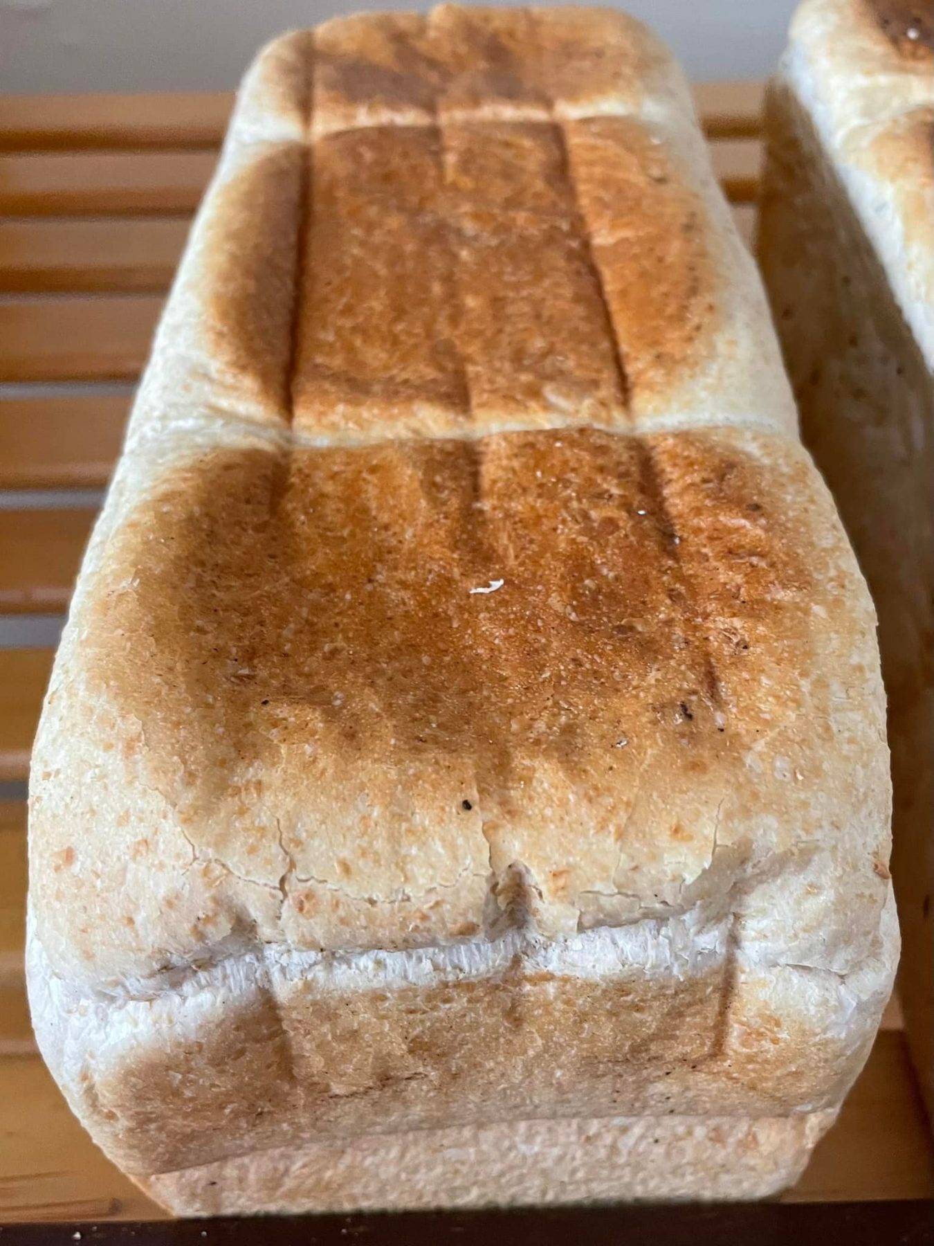 Gayndah Bakery - Gayndah QLD - Pyney's Pie Reviews