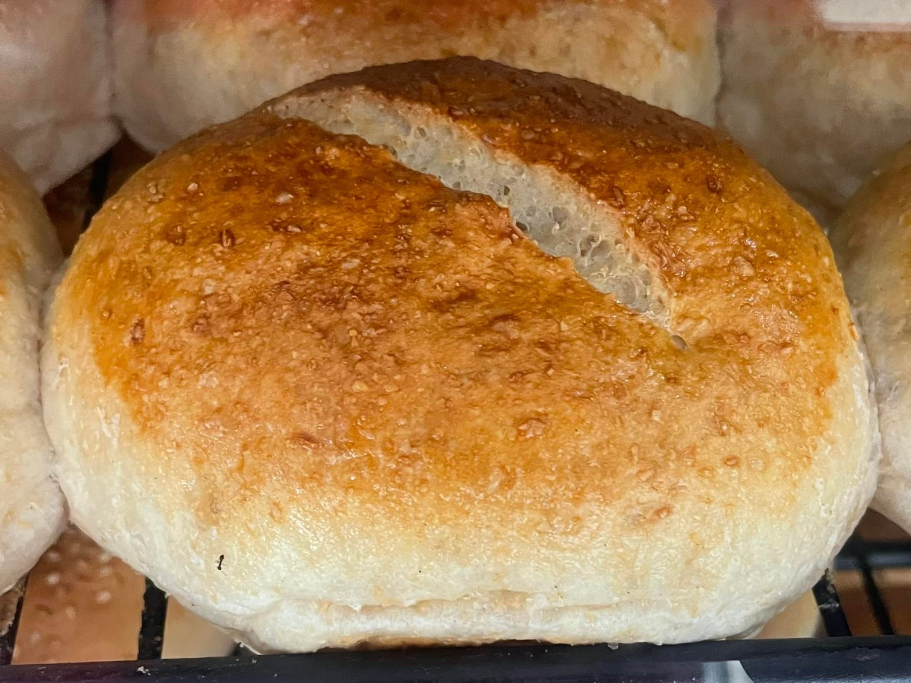 Gayndah Bakery - Gayndah QLD - Pyney's Pie Reviews