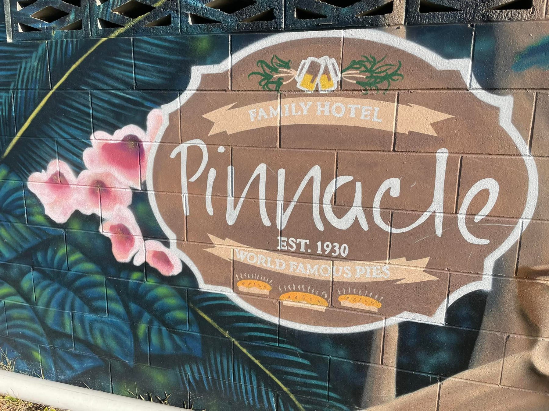 Pinnacle Family Hotel - Pinnacle QLD - Pyney's Pie Reviews