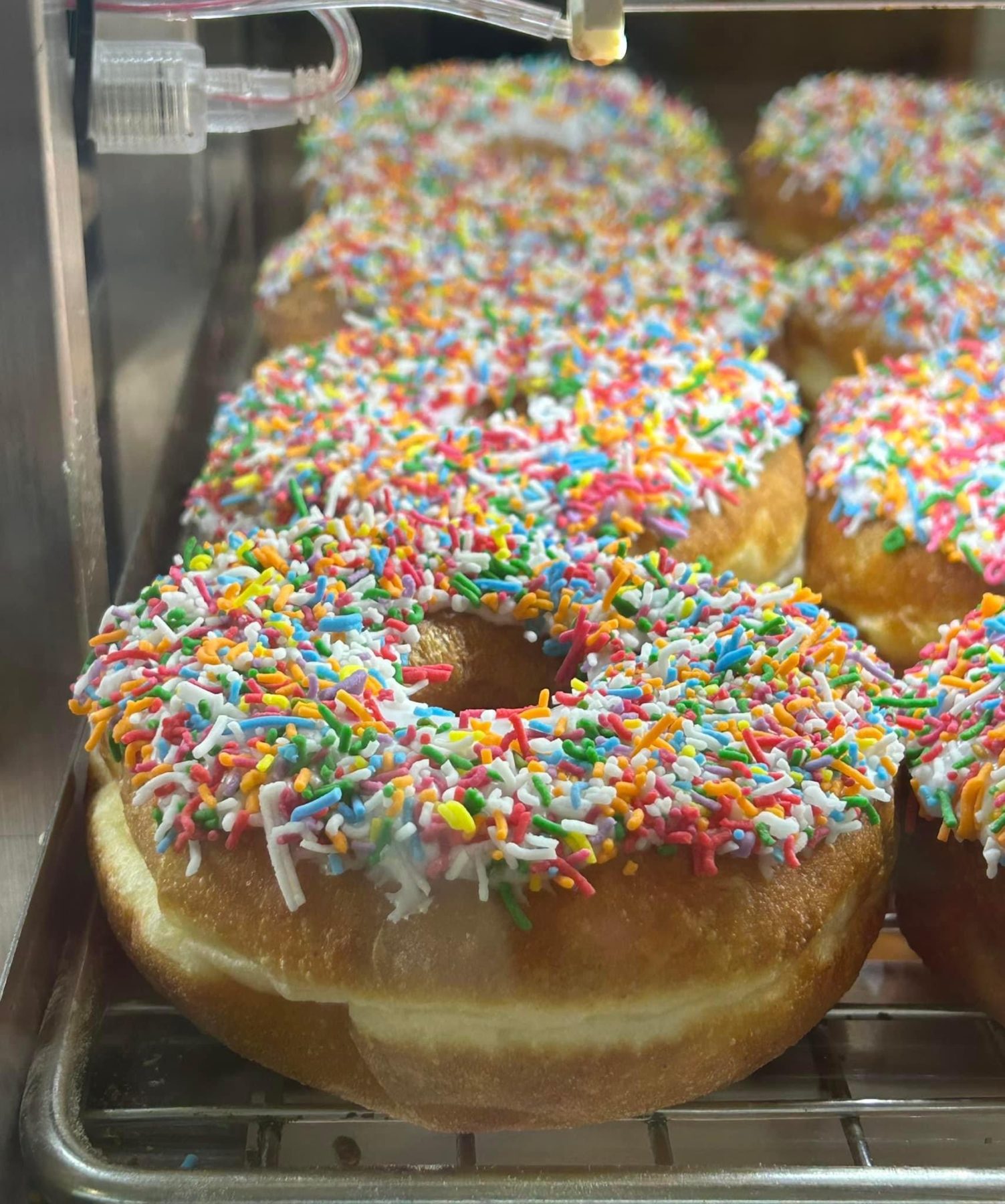 Home Grain Bakery. - Aldinga SA - Pyney's Pie Reviews