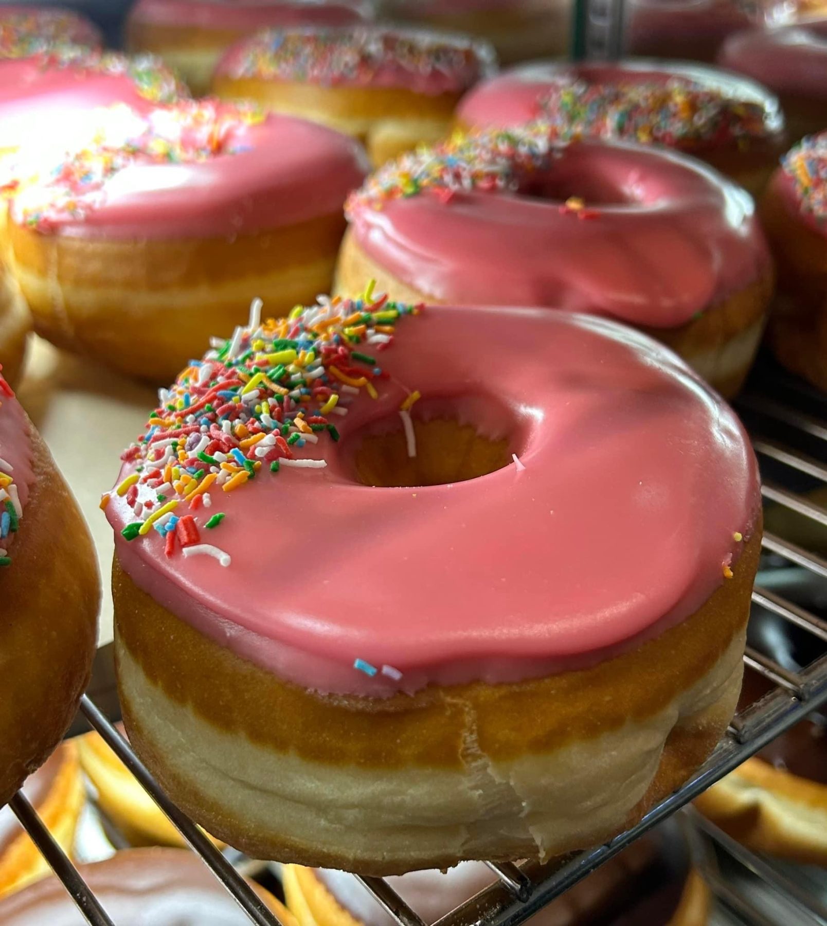 St Peters Bakehouse & Coffee Shop - St Peters SA - Pyney's Pie Reviews