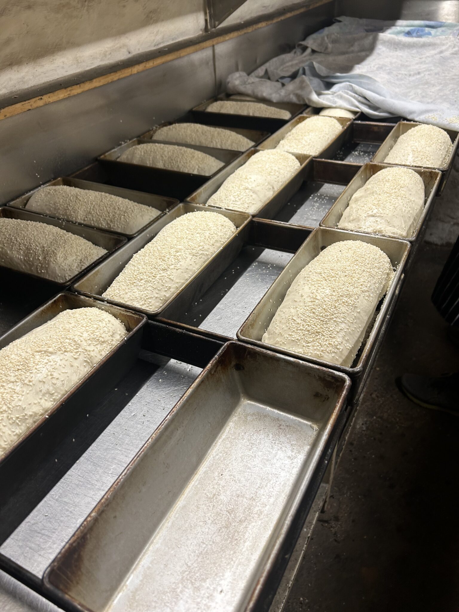 Farina Underground Bakery - Pyney's Pie Reviews