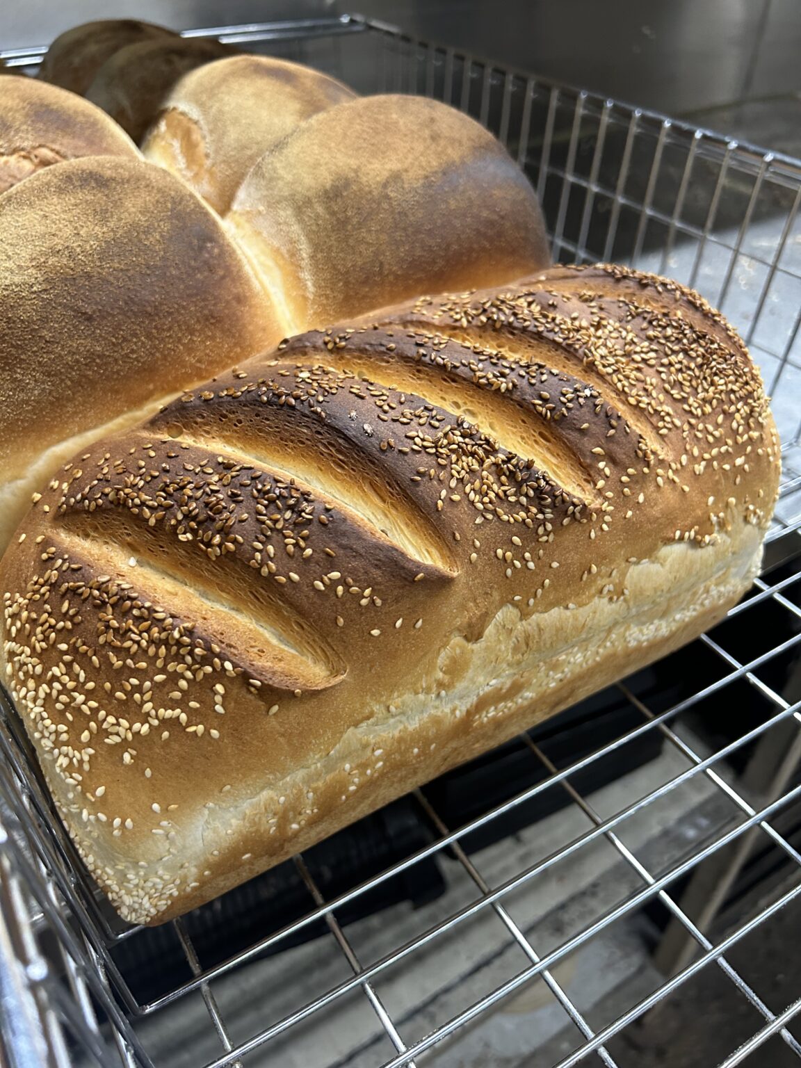 Farina Underground Bakery - Pyney's Pie Reviews